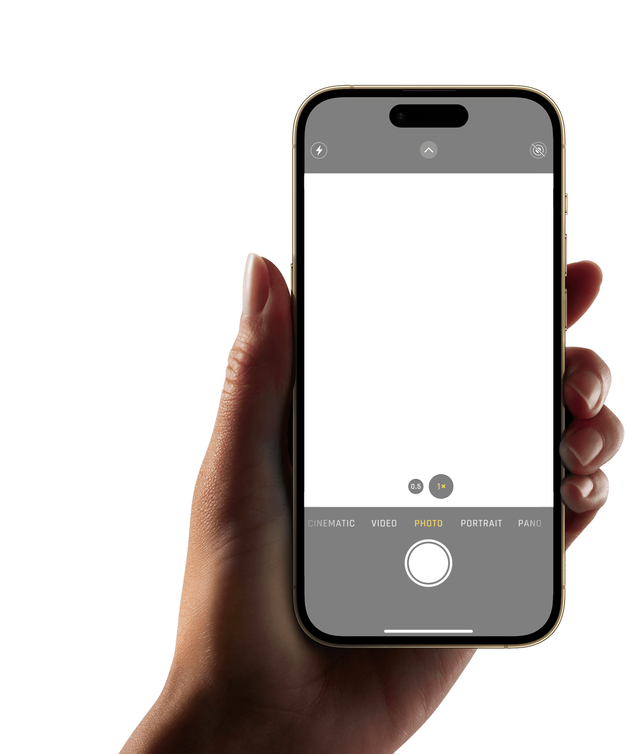 Qurious - Powered by eQQui